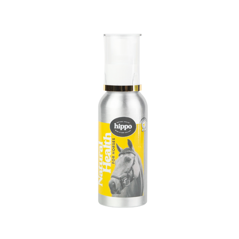 Easy Traveller - Equine - For loading and unloading Horses - Hippo Health