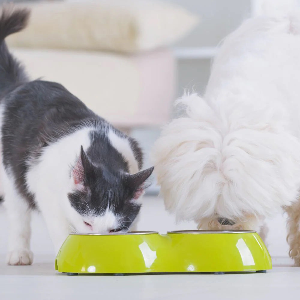 The BioPet Story - Hippo Health