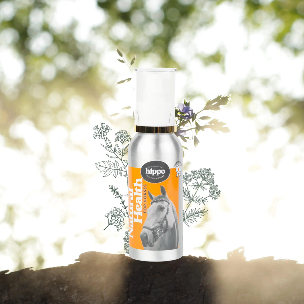 The BioPet Story - Hippo Health